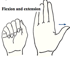 5 Effective Ways to Fix a Jammed Finger | New Health Guide