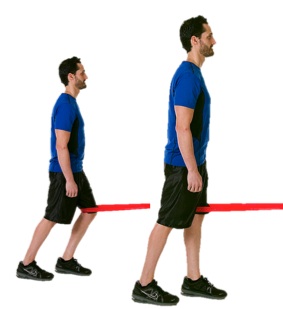 9 Stretches on How to Make Knees Stronger | New Health Guide